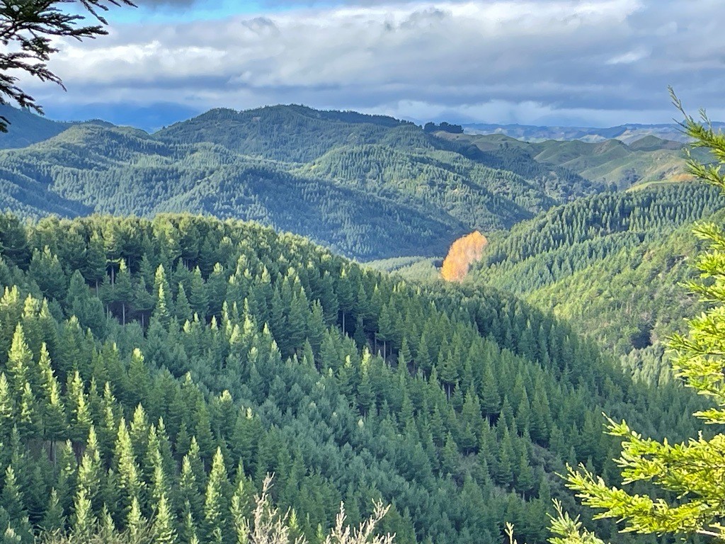 Climate Asset Management Secures Commitments In Excess Of 1 Billion