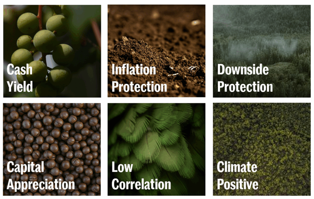 Opportunities in Natural Capital: The Current Investment Landscape and ...